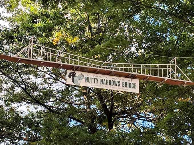 This miniature suspension bridge proves that squirrels deserve safe passage too, complete with tiny railings for their furry commutes.