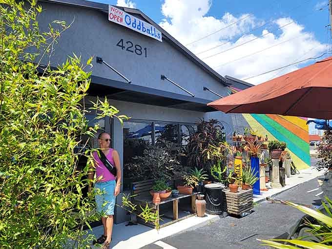 That vibrant outdoor display with plants and colorful murals turns thrift shopping into an artistic adventure worth photographing.