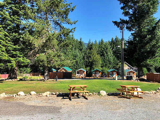 Cozy cabins nestled among towering pines offer the perfect escape for folks seeking genuine peace and quiet.