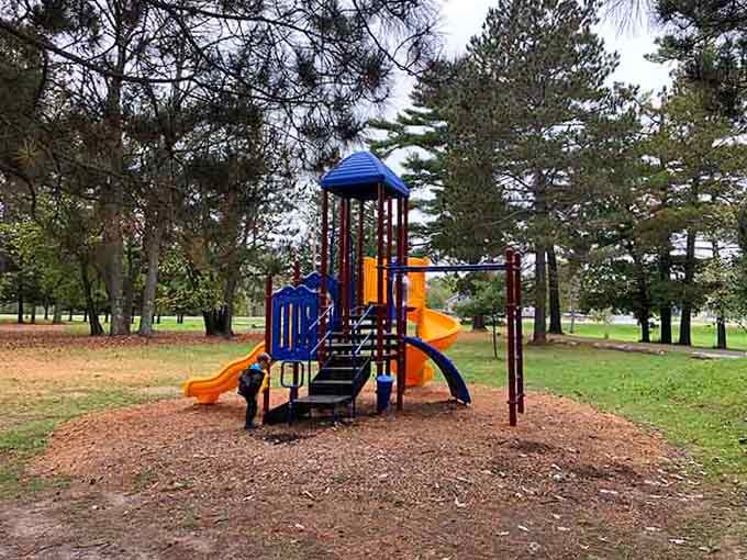 Colorful playground equipment nestled among towering pines creates the perfect spot for grandkids to burn off energy.