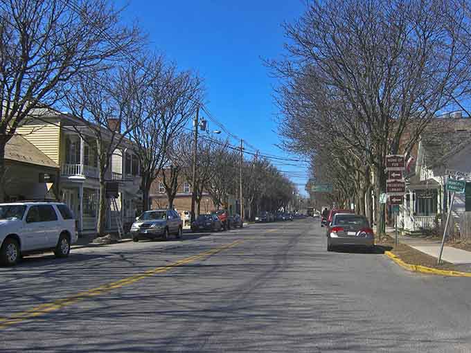 Mature trees create a natural canopy over residential streets where neighbors still wave from their front porches daily.
