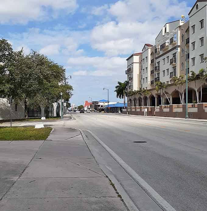 Mediterranean-style architecture meets coastal charm in this quiet street where palm trees sway and life slows down beautifully.