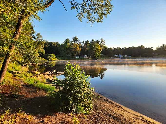 Golden hour transforms the shoreline into something magical, where pine needles meet glassy water in perfect harmony.