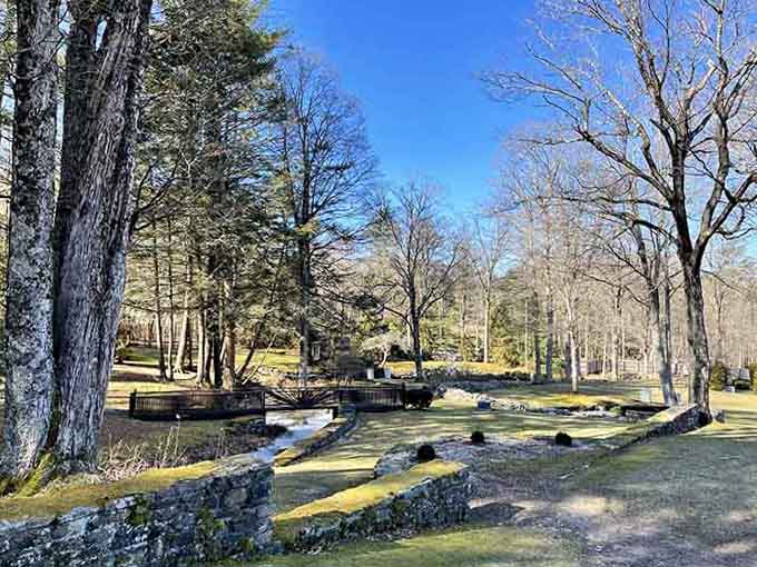 Moss-covered stone walls and a gentle stream winding through bare winter trees at Ashintully's dreamy grounds.