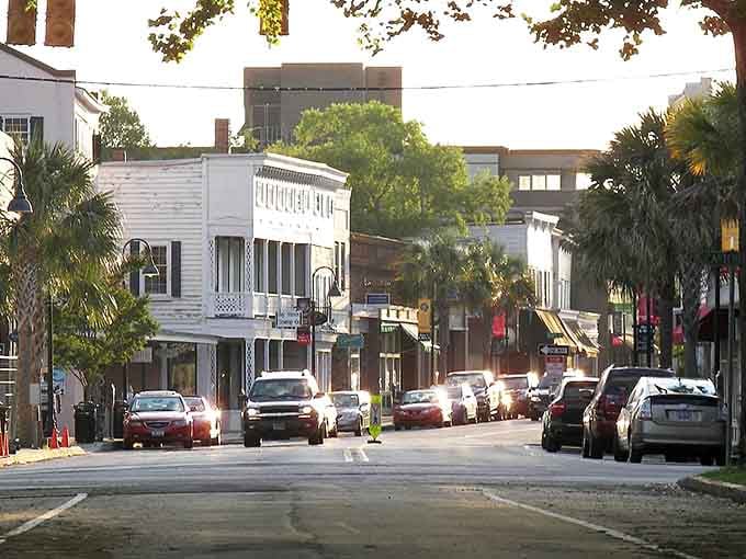 Golden afternoon light filters through the palmettos, turning an ordinary street into something worthy of a postcard collection.
