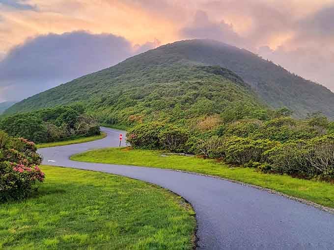 This mountain road curves like a gentle smile, surrounded by emerald grass and that perfect dome-shaped peak ahead.