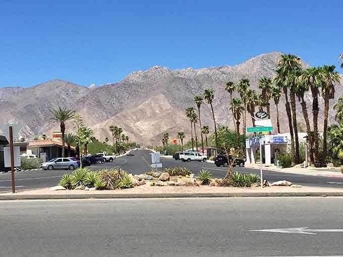 Desert landscaping meets mountain backdrop in this sun-drenched community where the views never quit on you.