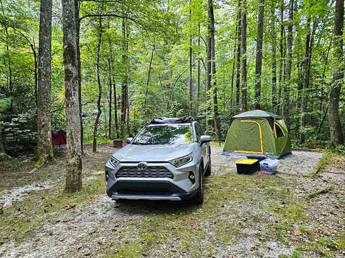 Mossy rocks, towering hardwoods, and a cozy tent tucked into the Sumter National Forest &mdash; Cherry Hill doesn't need a filter.