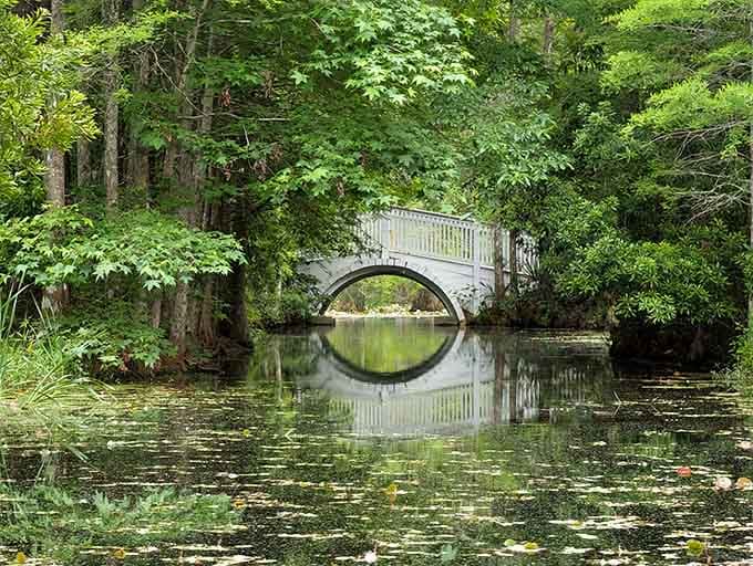 A white footbridge curves over tea-colored water, creating a perfect circle reflection that'll make your camera very happy.