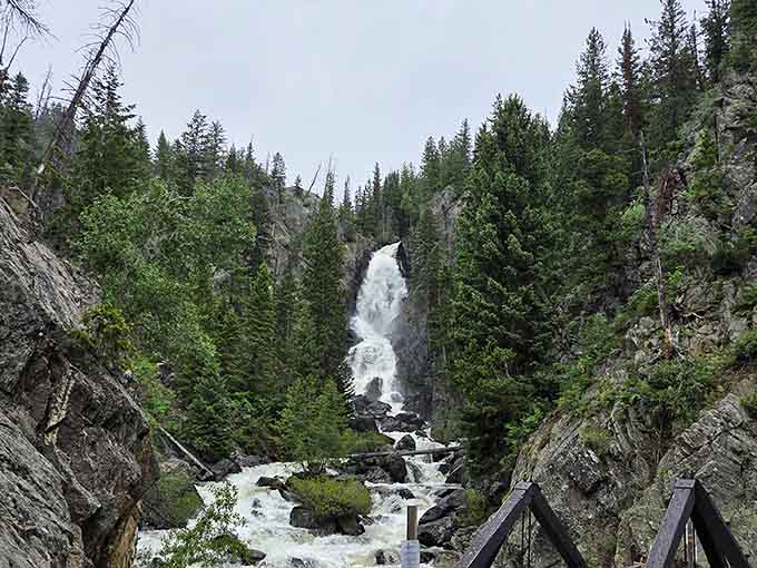 Spring runoff turns this waterfall into a thundering spectacle, white water churning between evergreen-covered slopes.