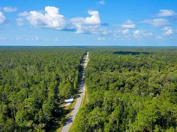 The arrow-straight Tamiami cuts through endless Everglades wilderness like a ruler drawn across nature's green canvas.