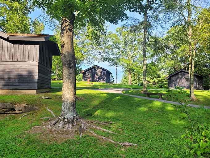Rustic cabins nestle among towering trees, offering a peaceful retreat that feels worlds away from everyday hustle and bustle.