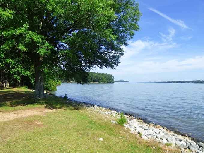 Ancient oaks shade this rocky shoreline where blue waters stretch endlessly toward distant tree-covered islands and pure tranquility.