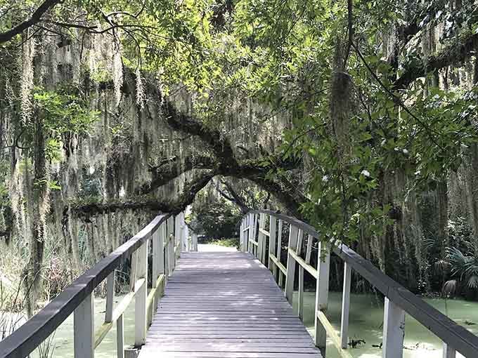 This footbridge disappears into green mystery, inviting you to leave the modern world behind completely.