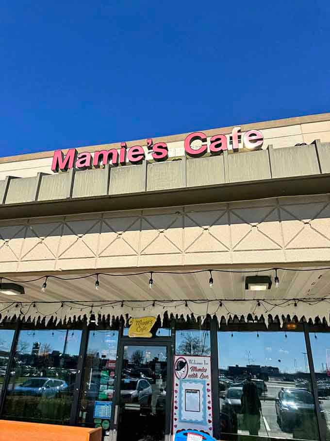 Against that brilliant blue sky, Mamie's pink lettering shines like a beacon calling you home for soul food done right.