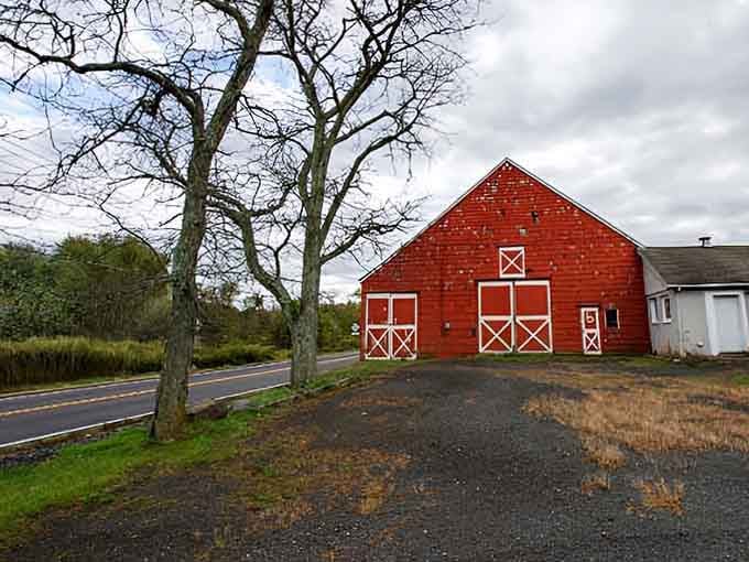 That bright red barn stands proud against gray skies, a timeless symbol of working farmland that still feeds communities.