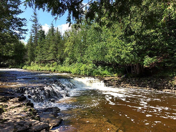 Sunlight filters through forest canopy onto rushing water that's been polishing these ancient stones for countless Michigan summers.