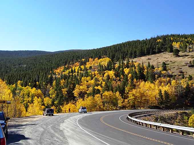 The sweeping curve of highway through autumn aspens makes every mile feel like a scene from a movie.