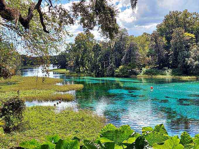 Emerald waters meet lush greenery in a scene that belongs on a postcard from paradise itself.