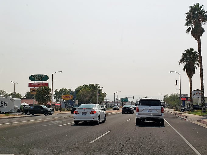 Palm trees stand tall along the main road, welcoming you to desert living without the resort prices.