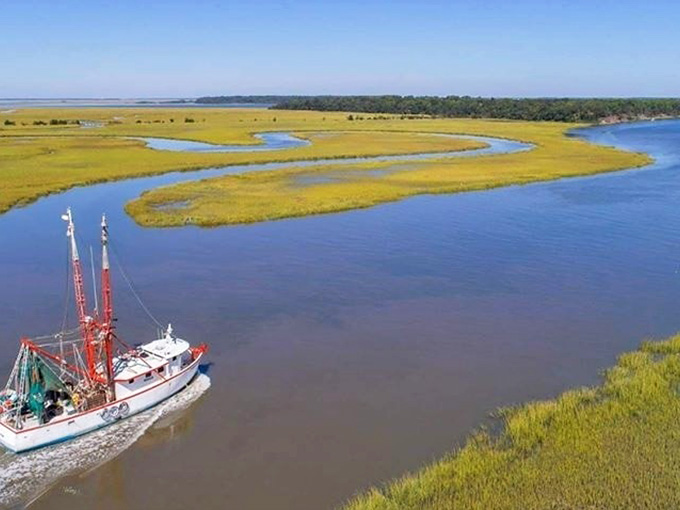 Golden marshlands stretch endlessly while a shrimp boat glides through waters that promise tonight's fresh catch.