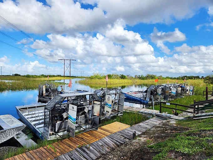 Those airboats lined up and ready remind you of hot rods at a drag strip, except these babies fly across water.