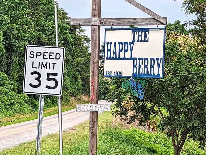 When your business name references berries and happiness, you're already winning at life before breakfast even starts.