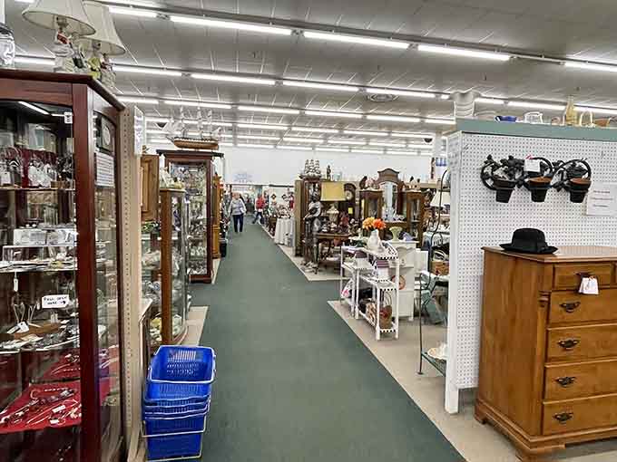 Sometimes the best treasures hide in plain sight, waiting patiently along these organized, well-lit aisles.