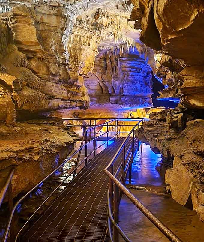 The walkway winds through chambers where blue lights transform ordinary limestone into something from a science fiction movie set.
