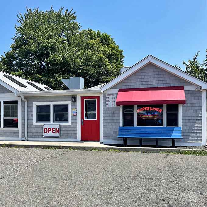 That cheerful blue bench sets the scene for perfectly grilled weenies topped with homemade relish that&rsquo;ll change your life.
