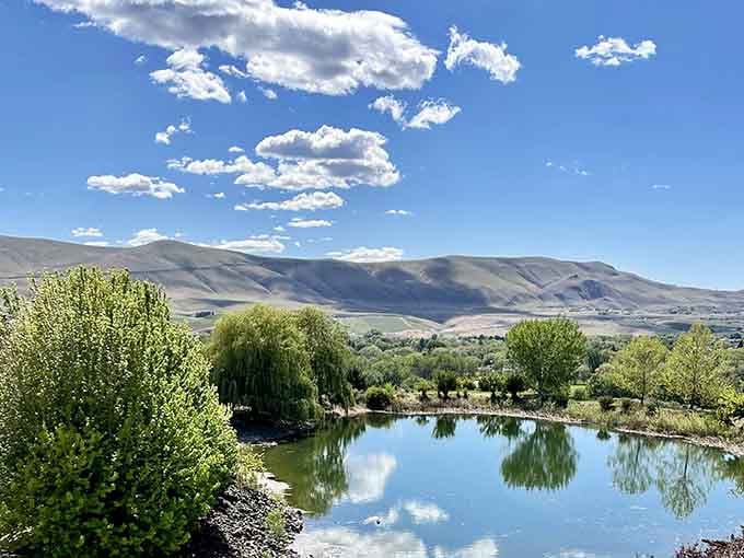 Enjoy a peaceful moment by this sparkling blue pond, perfectly reflecting the fluffy clouds and rolling hills of Washington.