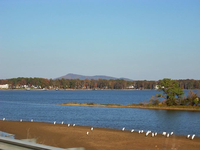 Mountains frame the water like a postcard, while white birds gather for their own lakeside social hour.