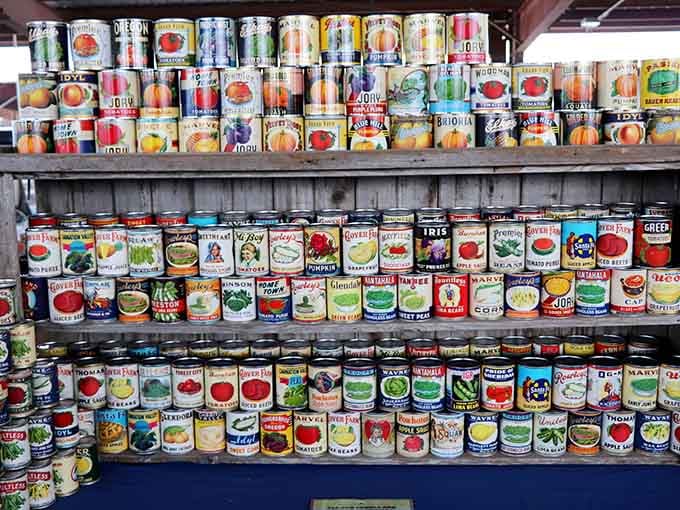 Vintage food cans lined up like a grocery store from your grandparents' era, minus the actual food.