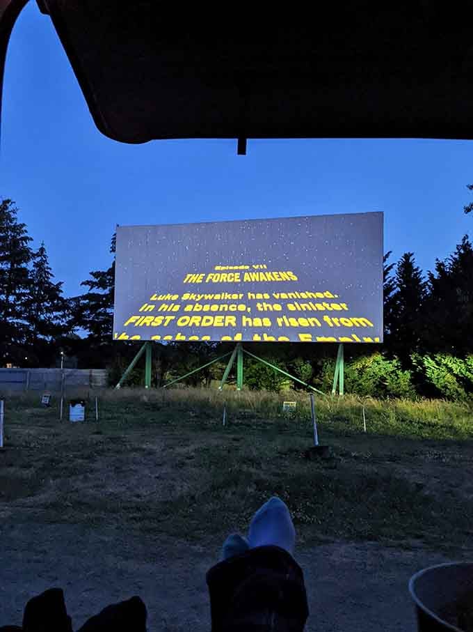 Star Wars on a screen this big under actual stars feels like the universe is winking at you with perfect timing.