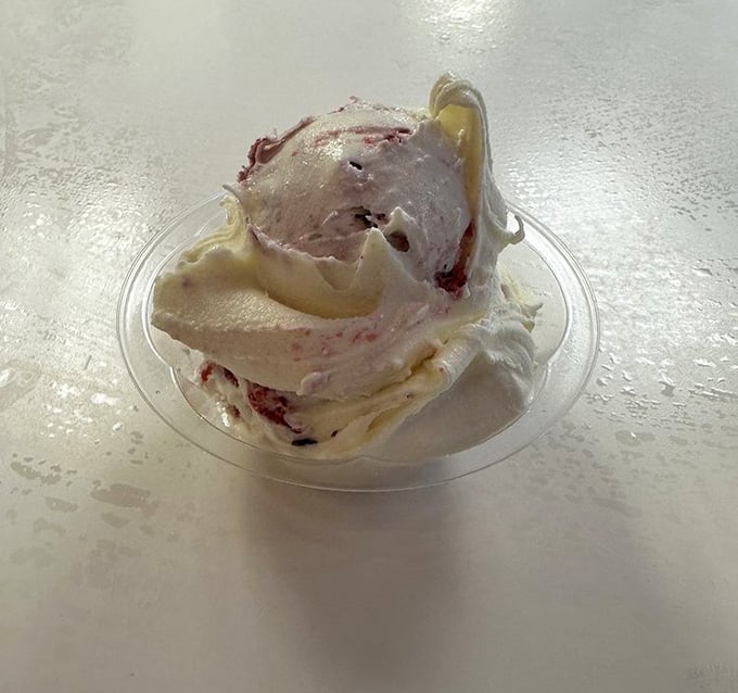Berry-studded custard that looks like summer itself decided to freeze into the most photogenic dessert you've ever seen in your life.