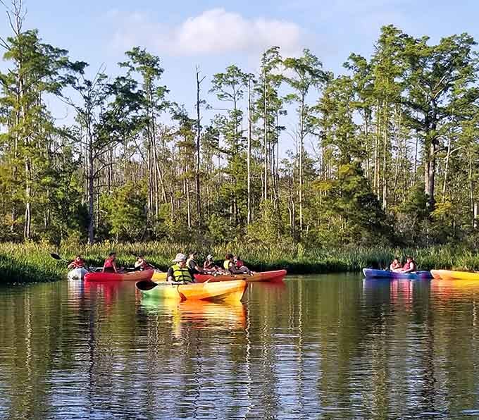 Paddling through these waters feels like gliding through a nature documentary, minus the British narrator.