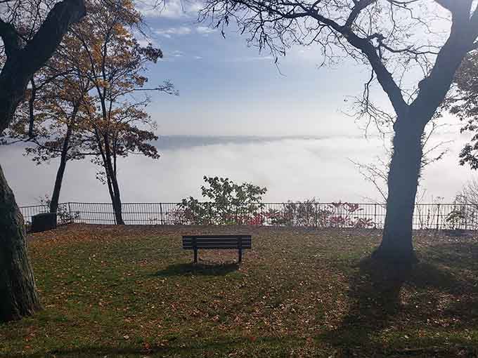 Sometimes the perfect spot is just a bench, a view, and absolutely nowhere else you need to be.