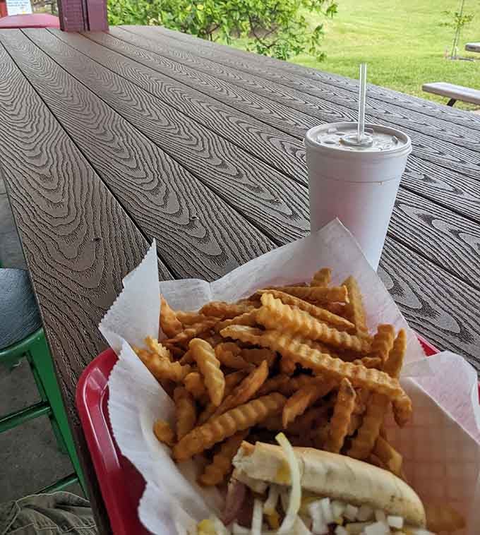 Golden, crispy waffle fries paired with a perfectly grilled hot dog, this is lunch done right under the sunshine.