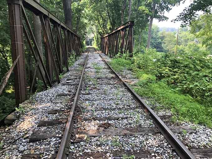 Weathered wooden trestle stretching into green wilderness proves old railroad infrastructure still has stories to tell and share.