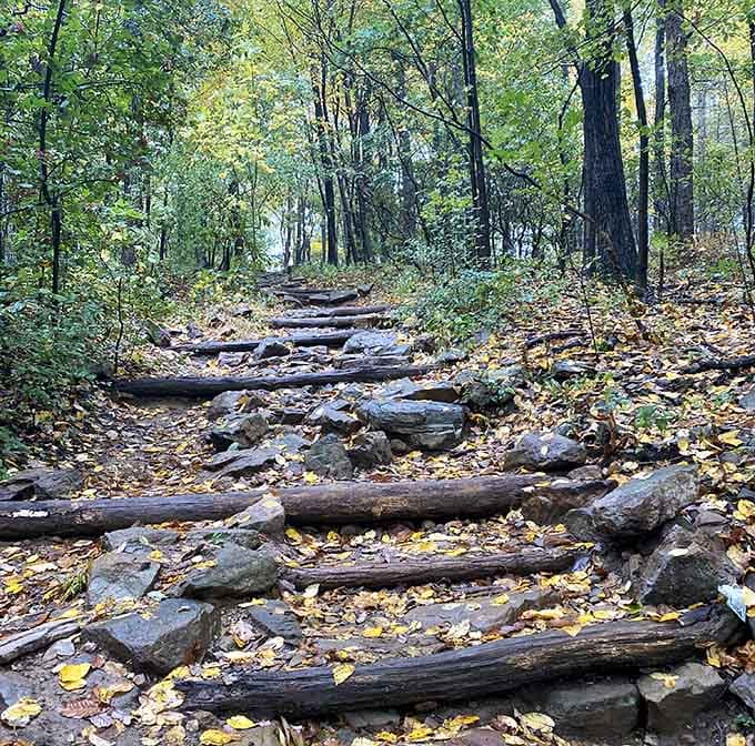 These natural stone steps are nature's StairMaster, built millions of years before gyms were even invented.