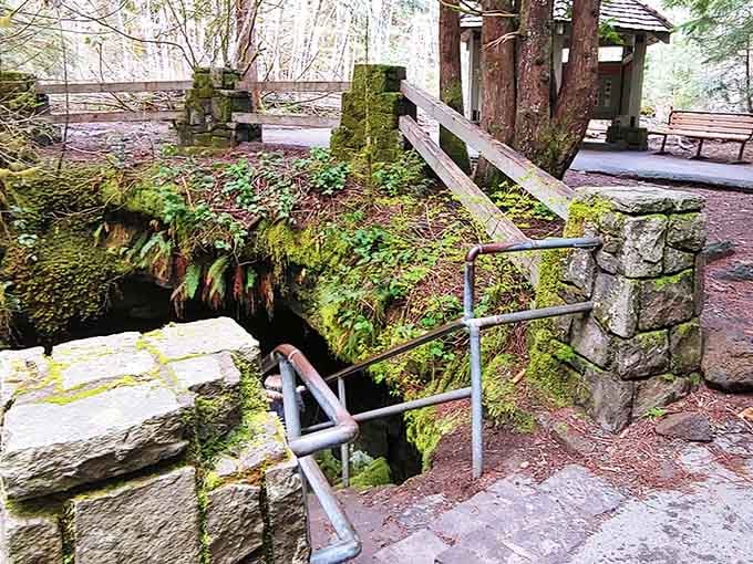 Moss-covered volcanic rock and a staircase leading down: nature's version of a dramatic movie entrance.
