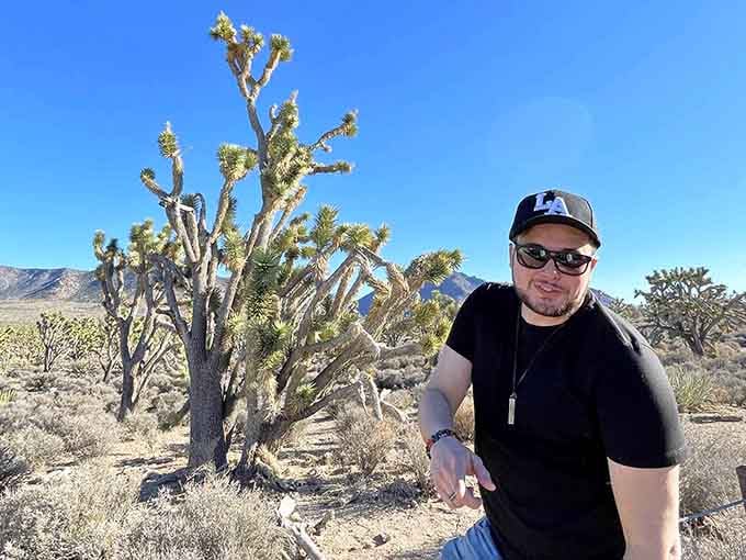 This magnificent specimen proves that Arizona's Joshua trees didn't need California's publicity team to be spectacular.