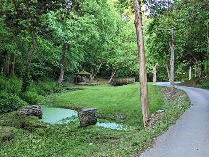 Nature reclaiming its territory one peaceful pathway at a time, proving Missouri does tranquility exceptionally well.