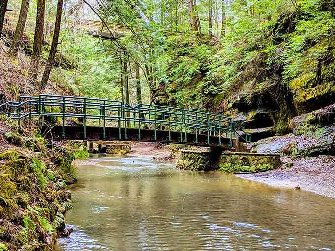 This charming bridge crosses the creek, proving that functional infrastructure can actually photograph beautifully for once.