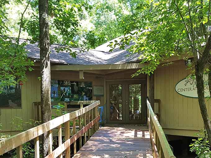 Nestled among the canopy, this welcoming center is your gateway to one of nature's most spectacular shows.