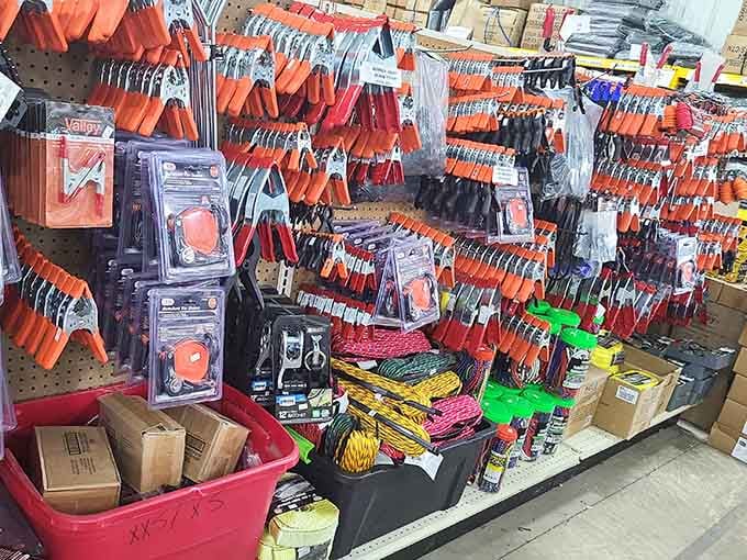 Tools and supplies organized in that beautiful warehouse chaos that somehow makes perfect sense once you're inside.