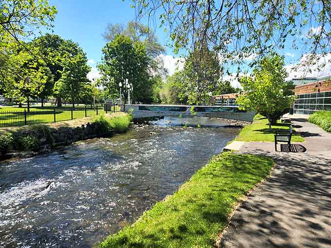 Peaceful waterways wind through town, offering free entertainment that beats any streaming service subscription.