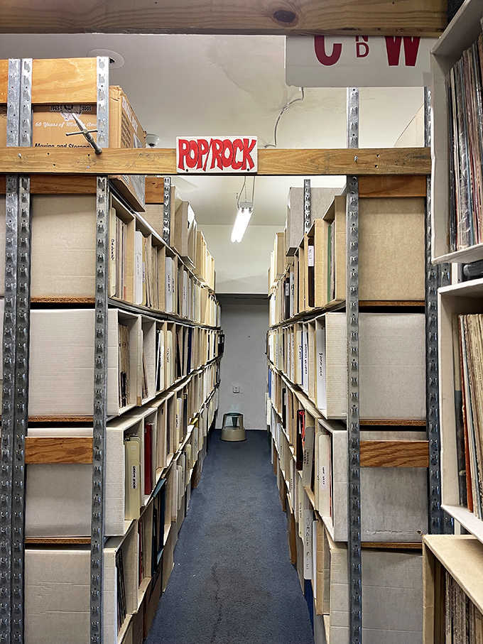 The Pop/Rock section alone could keep you busy for days, maybe weeks if you're particularly thorough.