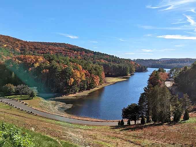 Fall colors frame the reservoir like nature decided to show off for the camera and absolutely nailed it.