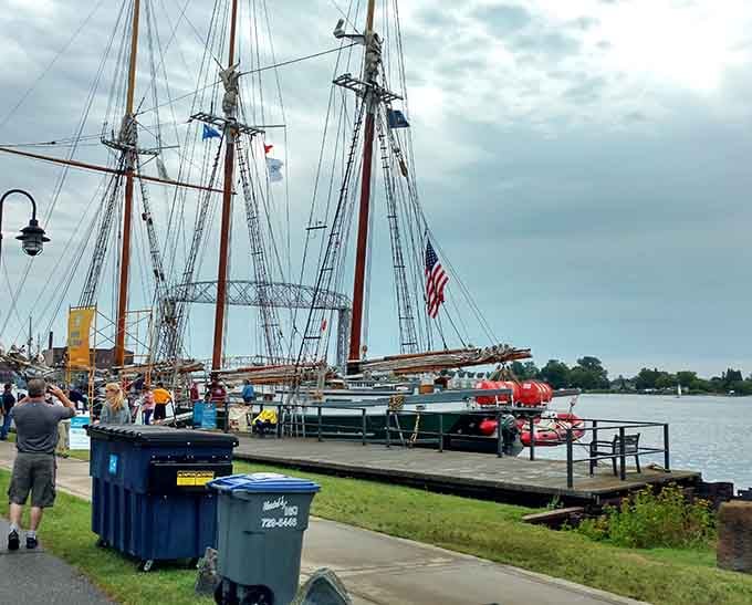 Historic ships dock right at the park, bringing maritime history close enough to actually touch and appreciate.